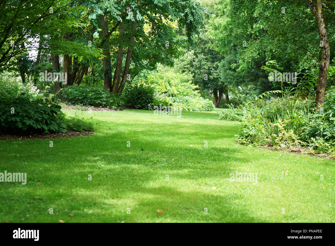 Public well maintained park in Germany in the summer to recover Stock ...