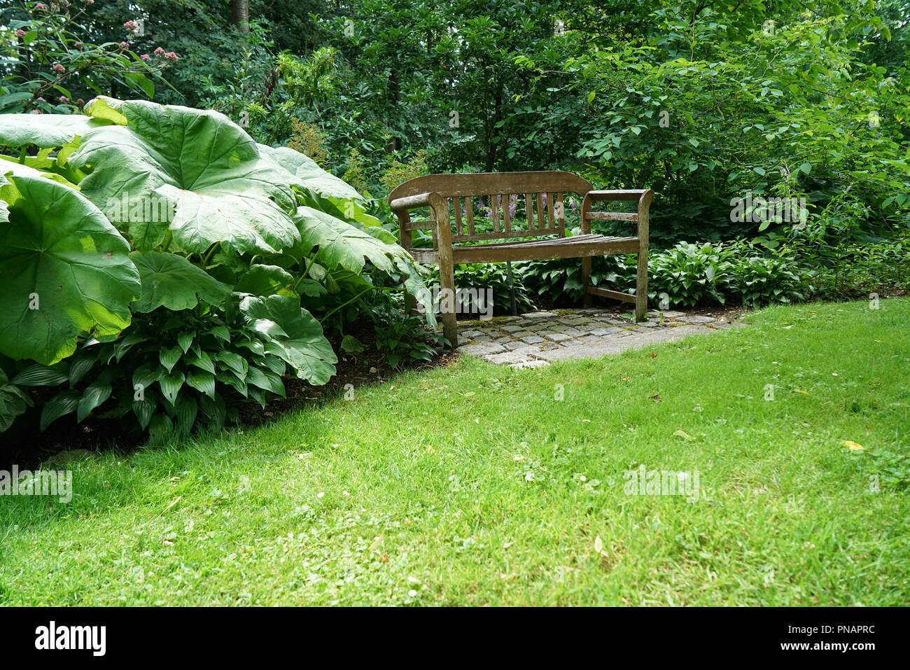 Public well maintained park in Germany in the summer to recover Stock ...
