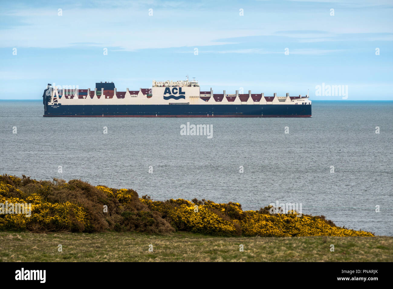 Acl container hi-res stock photography and images - Alamy