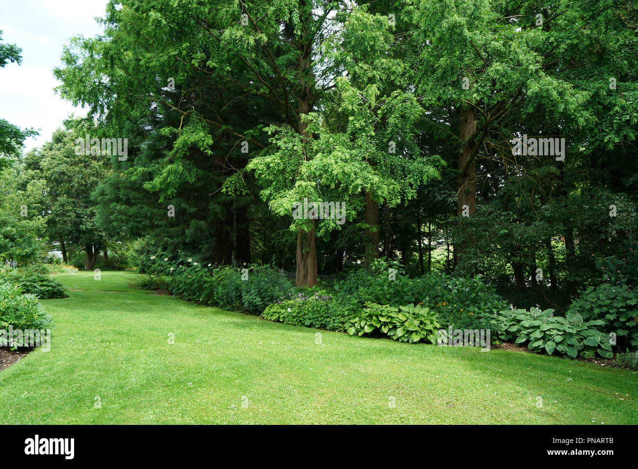 Public well maintained park in Germany in the summer to recover Stock ...