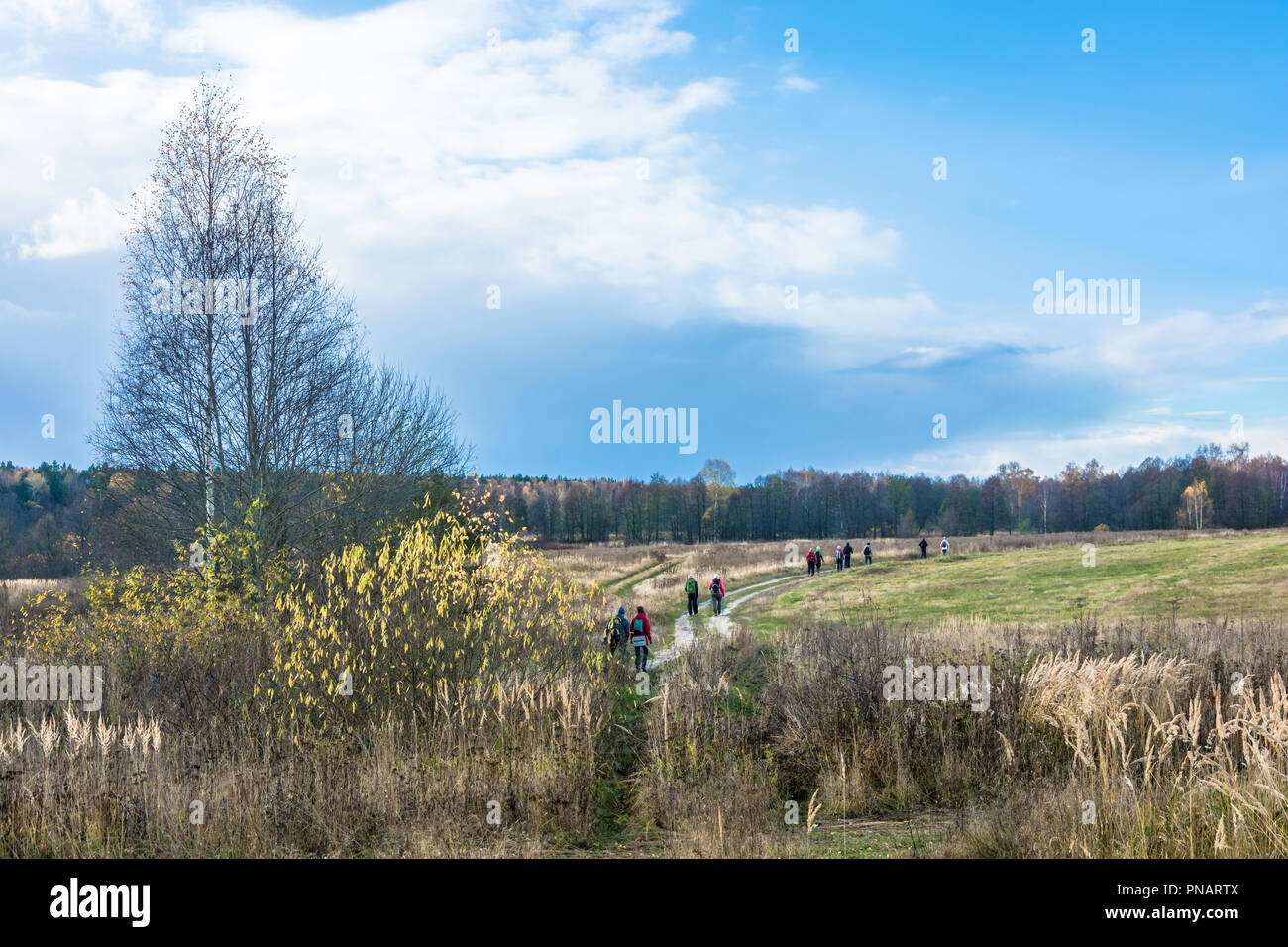 Large group of tourists walking along the road an autumn day Stock ...