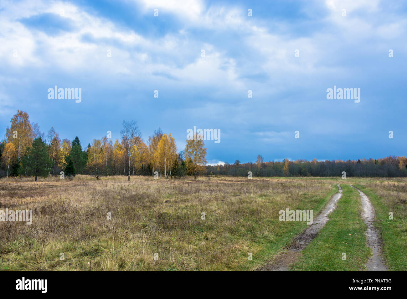 Beautiful autumn landscape in October day in the Central part of Russia ...