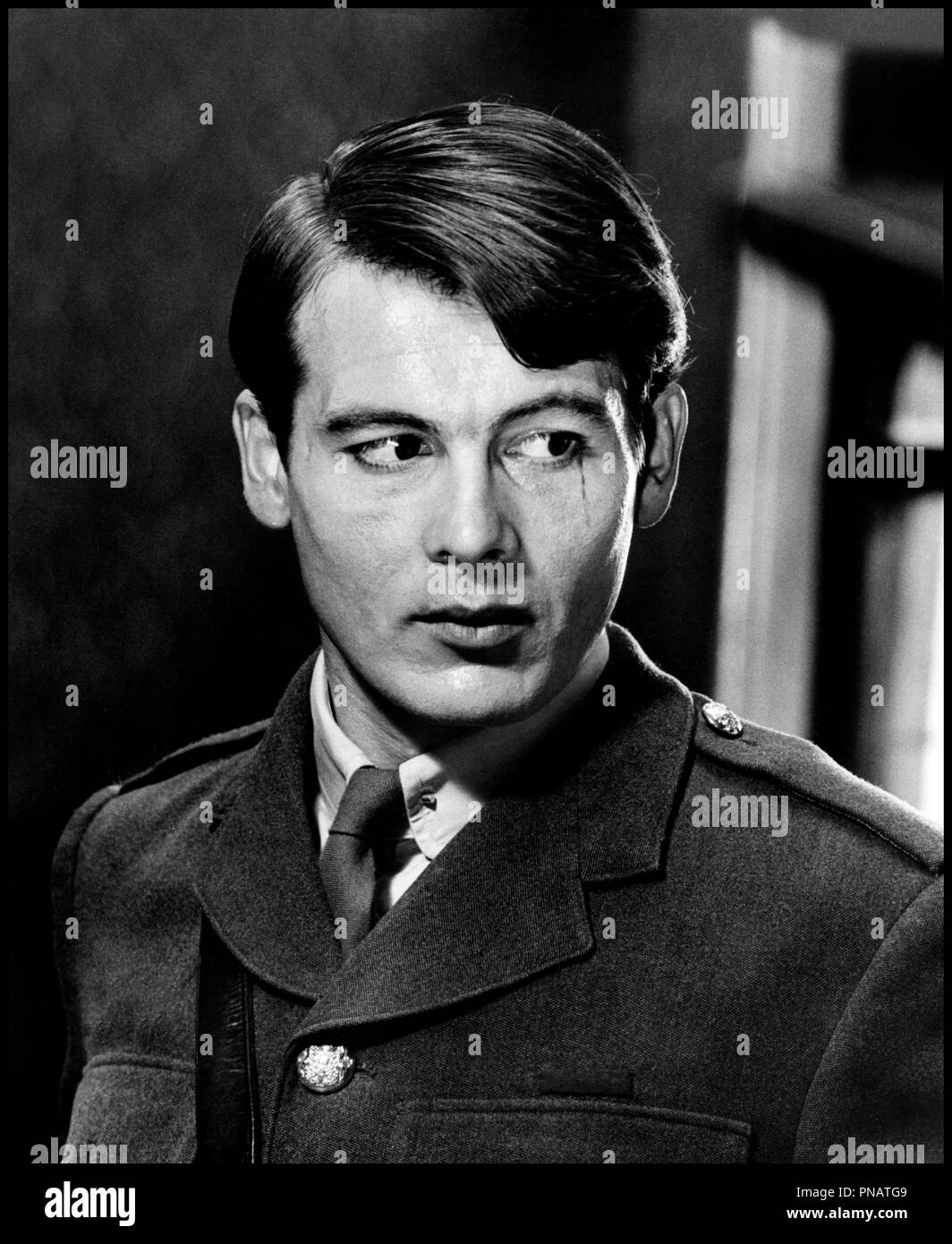 Ryan Ryans Stock Photos & Ryan Ryans Stock Images - Alamy