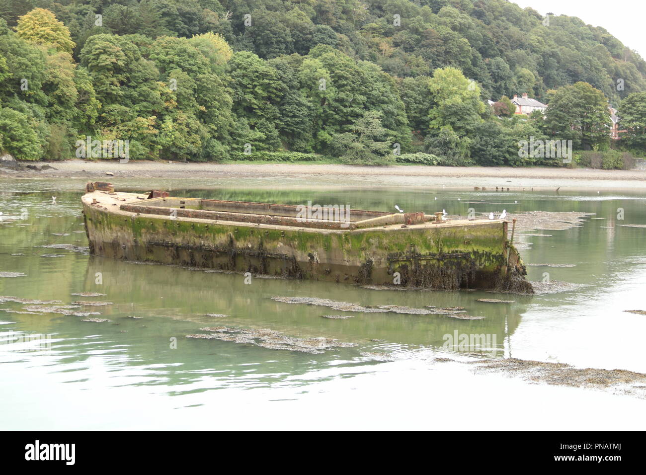 Port Penrhyn Commercial Docks, Banger Wales Stock Photo - Alamy