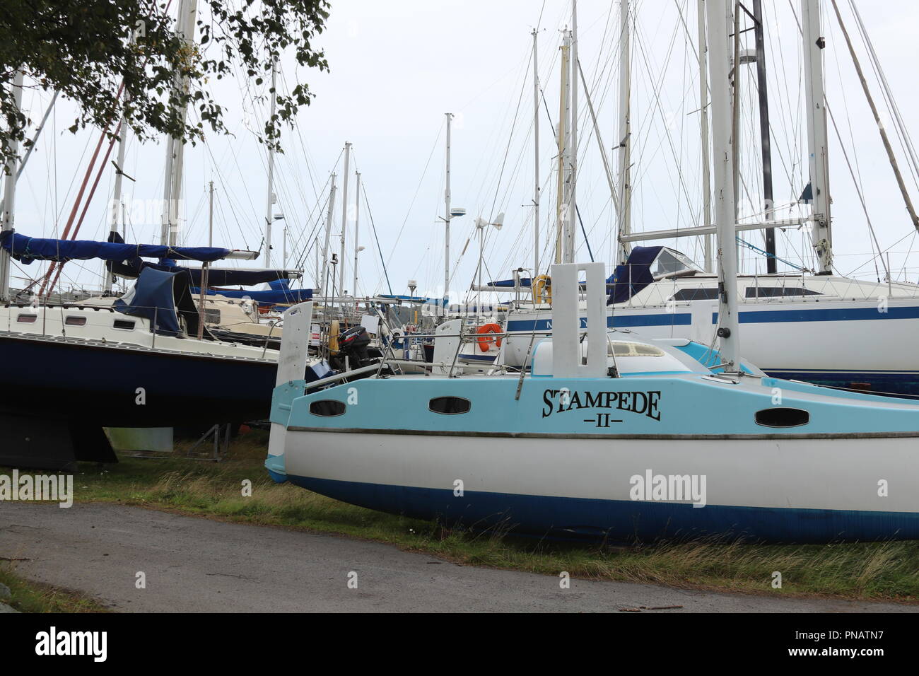 Port Penrhyn Commercial Docks, Banger Wales Stock Photo - Alamy