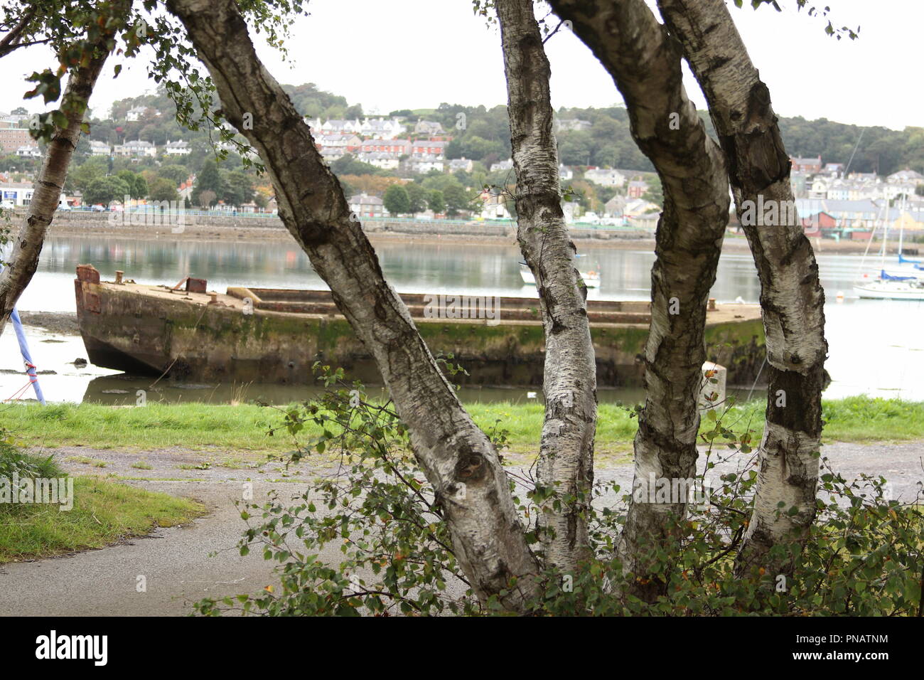 Port Penrhyn Commercial Docks, Banger Wales Stock Photo - Alamy