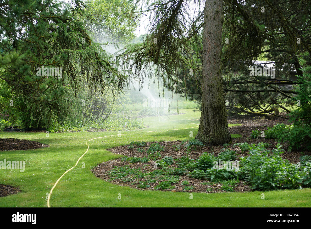 Public well maintained park in Germany in the summer to recover Stock ...