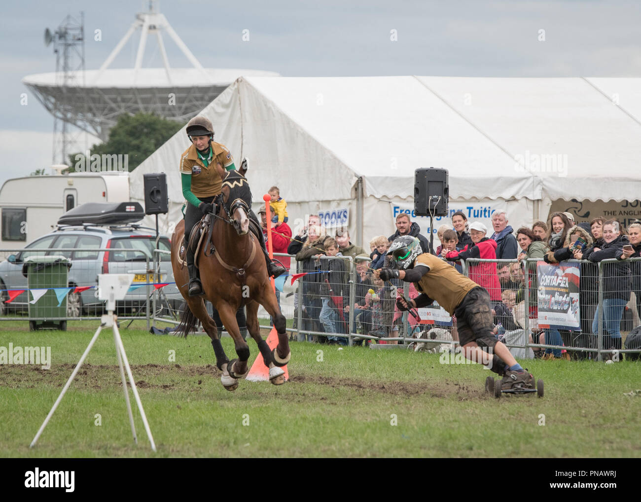 Cheshire Game & Country Fair 2018 - Horse Boarding Stock Photo - Alamy