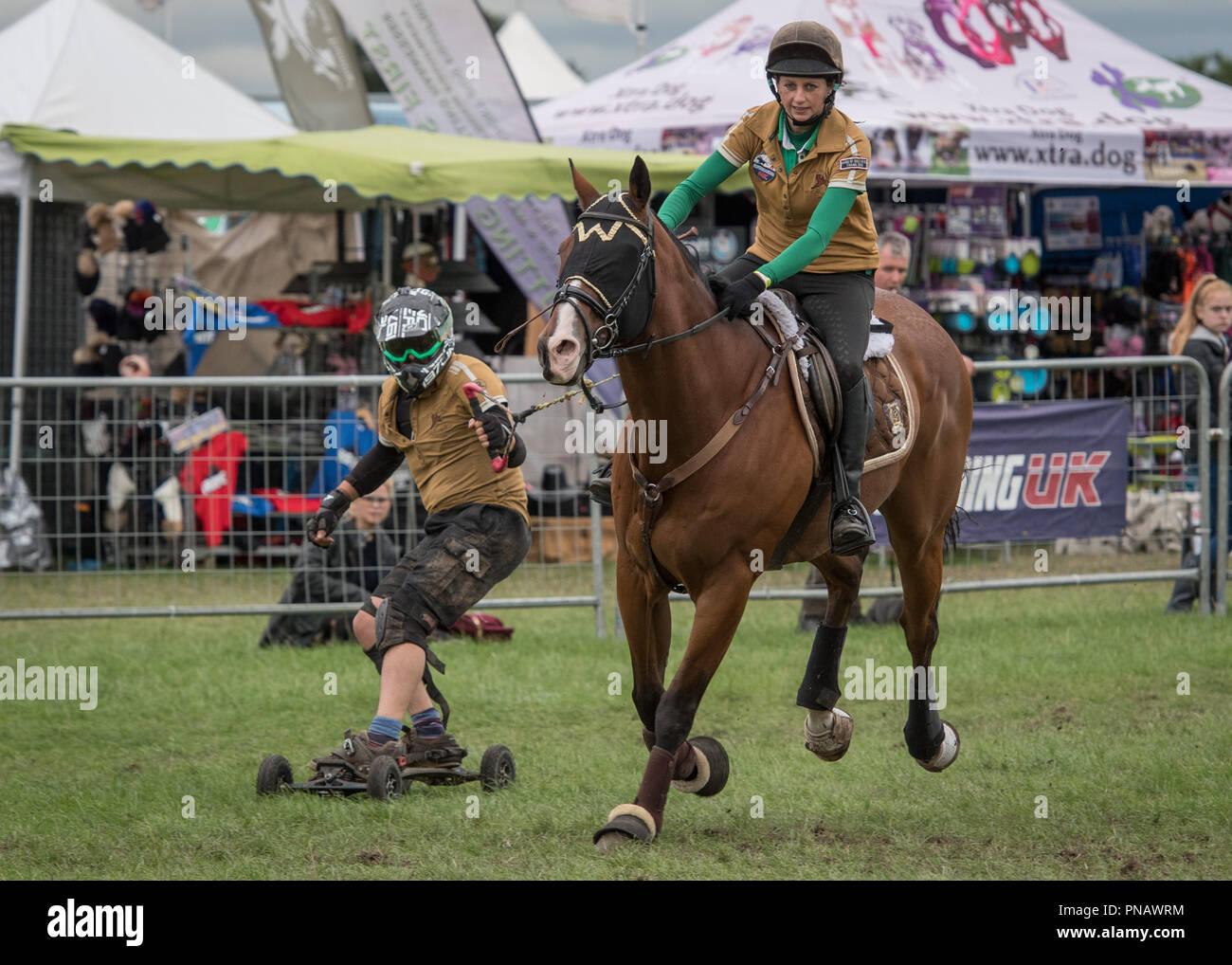 Cheshire Game & Country Fair 2018 - Horse Boarding Stock Photo - Alamy