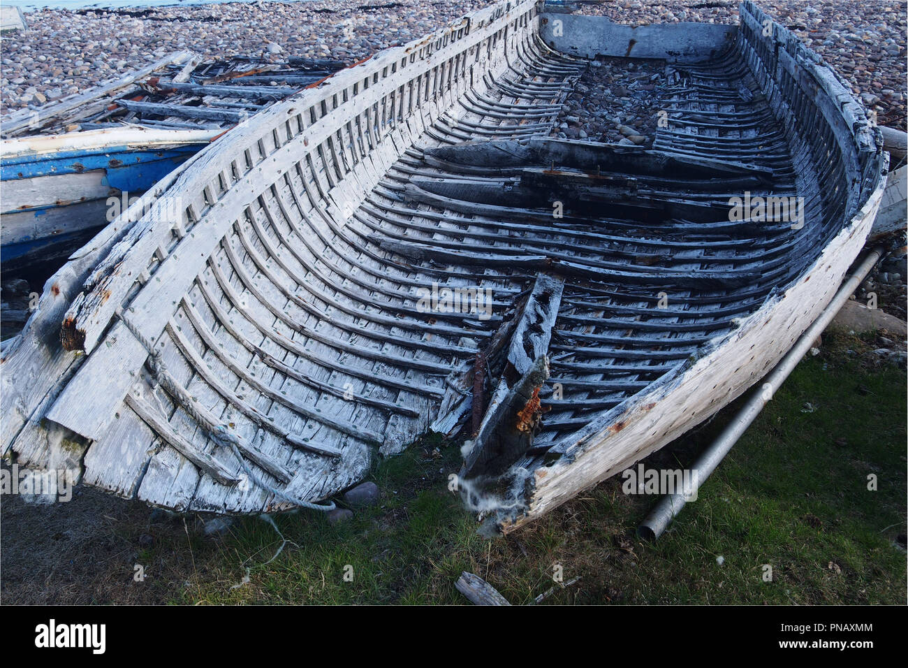 A view of the inside of the broken battered hull of a boat pulled up on ...