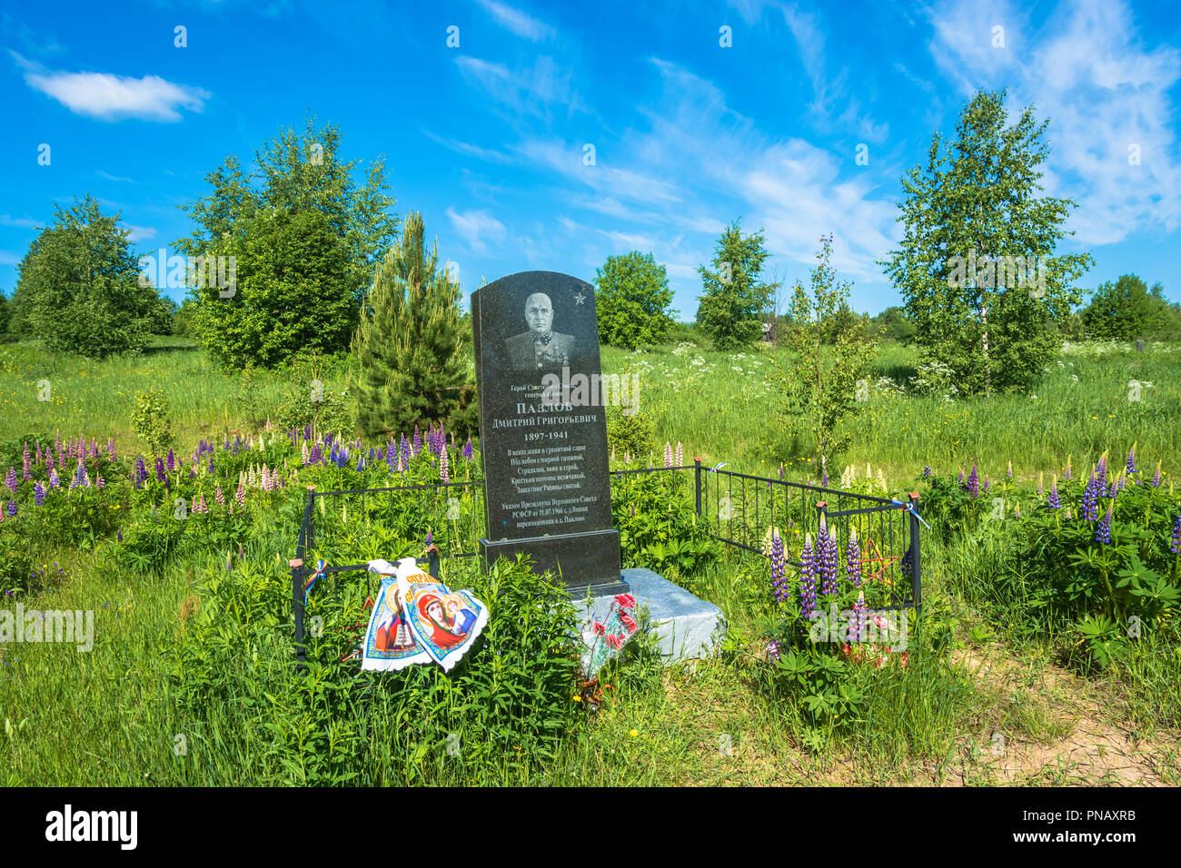 Dg pavlov hi-res stock photography and images - Alamy
