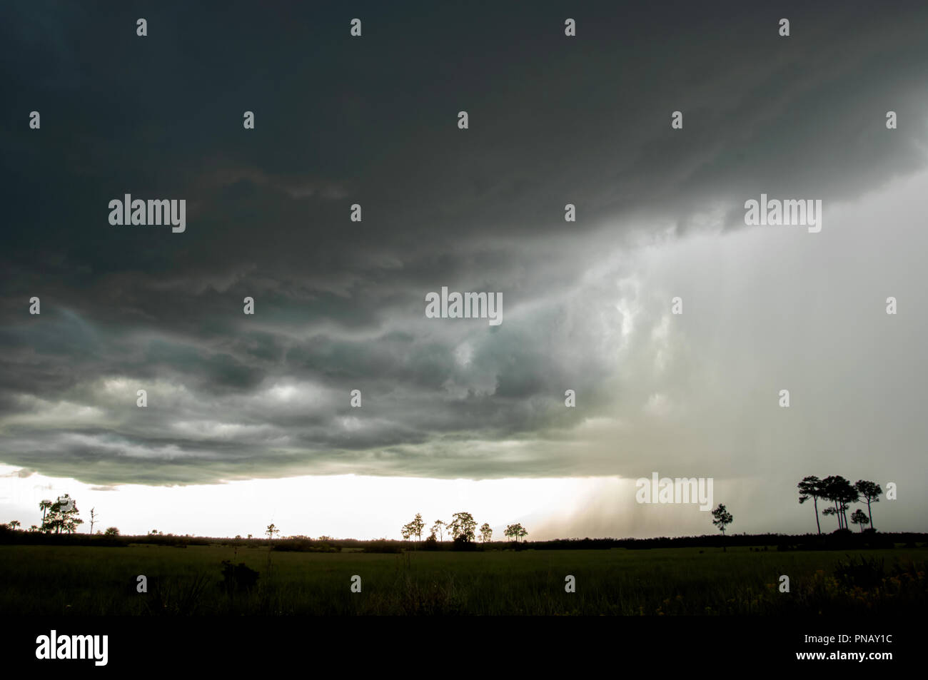 A dramatic storm sweeps over Turner River Road in Big Cypress, The ...