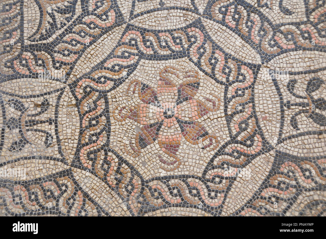 Italy, Veneto, Verona, Roman floor mosaic, Archaeological Museum ...