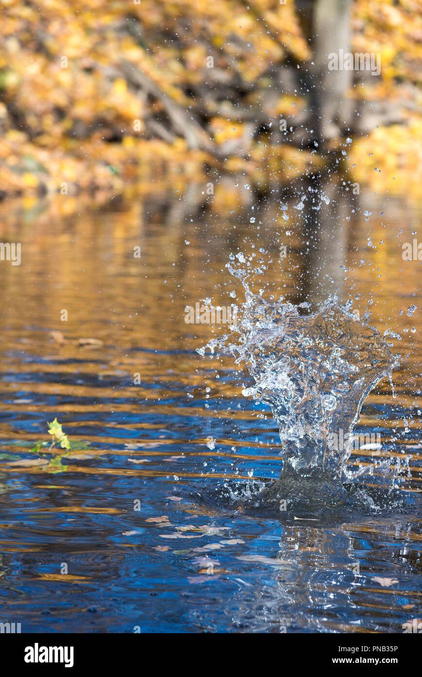 Water splash abstract mirror image hi-res stock photography and images ...
