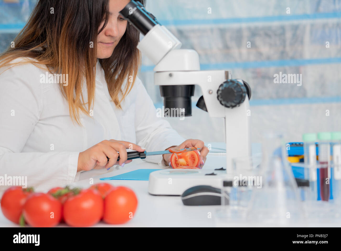 Checking fruit and vegetables for harmful elements. Laboratory for ...