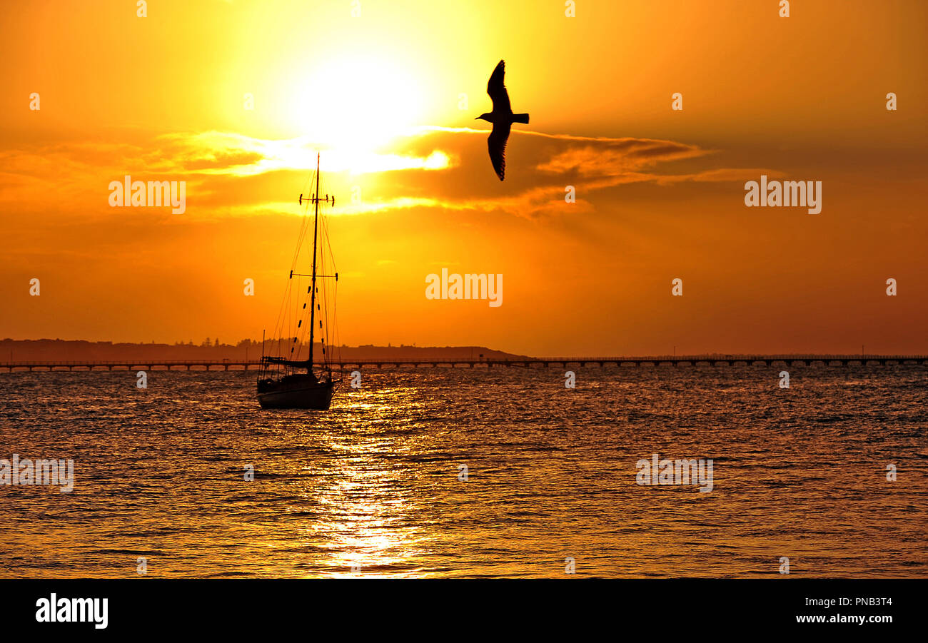 VICTOR HARBOR BOAT Stock Photo - Alamy