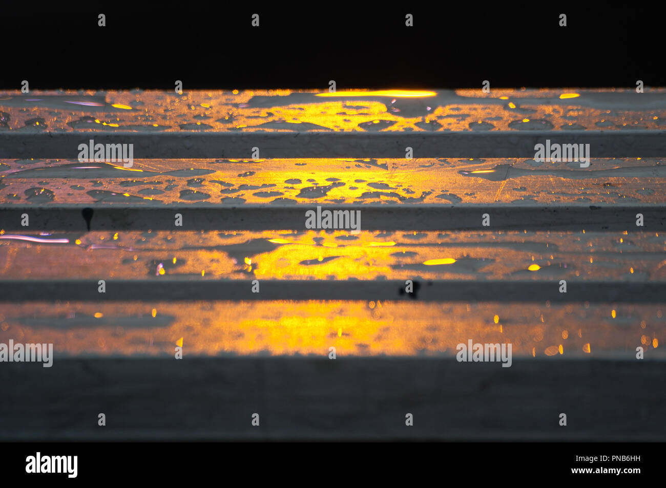 Gold Rain High Resolution Stock Photography and Images - Alamy