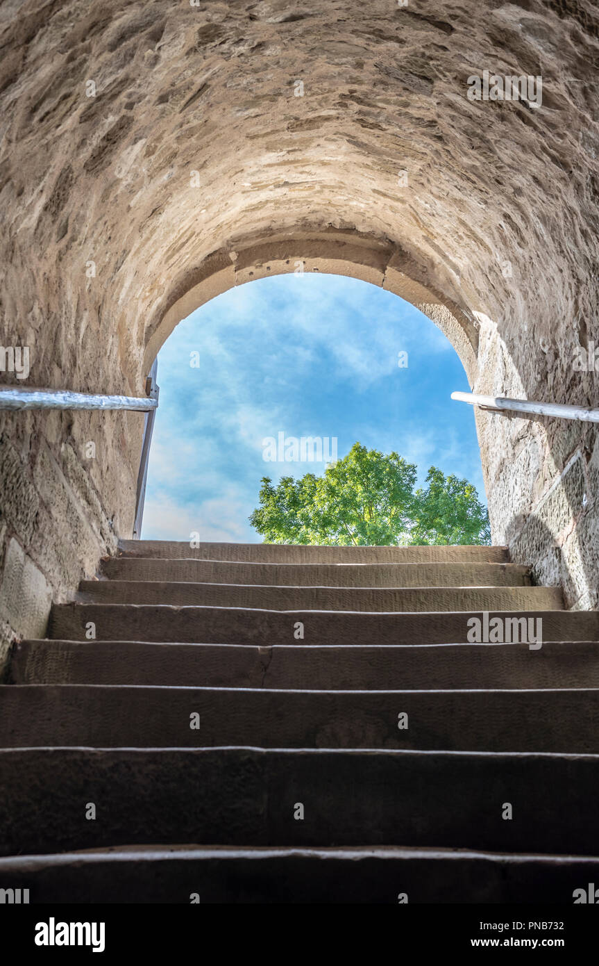 Stone stairs and the arched roof from a medieval basement with a view ...