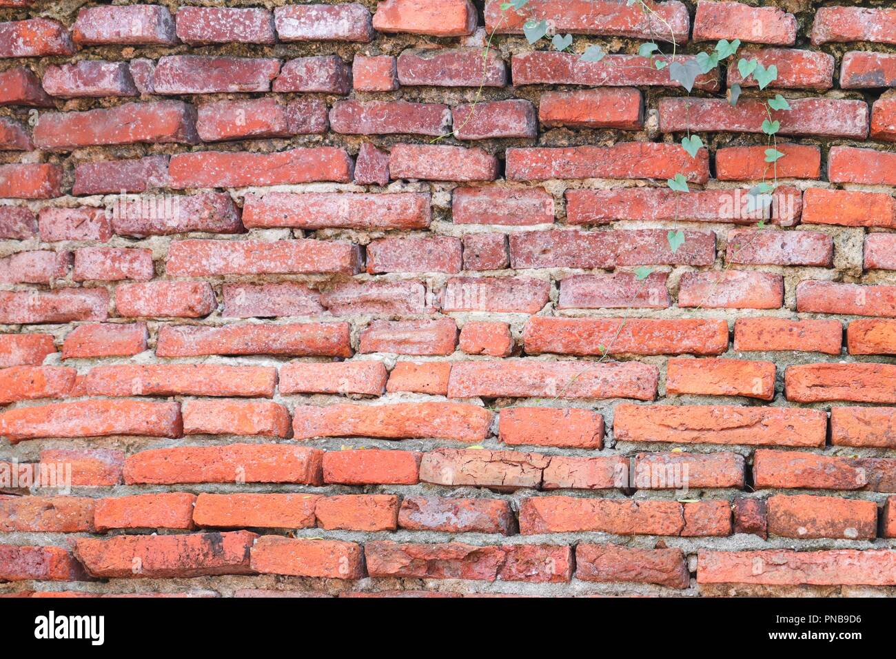 stone brick wall texture archaic colorful beautiful pattern for ...