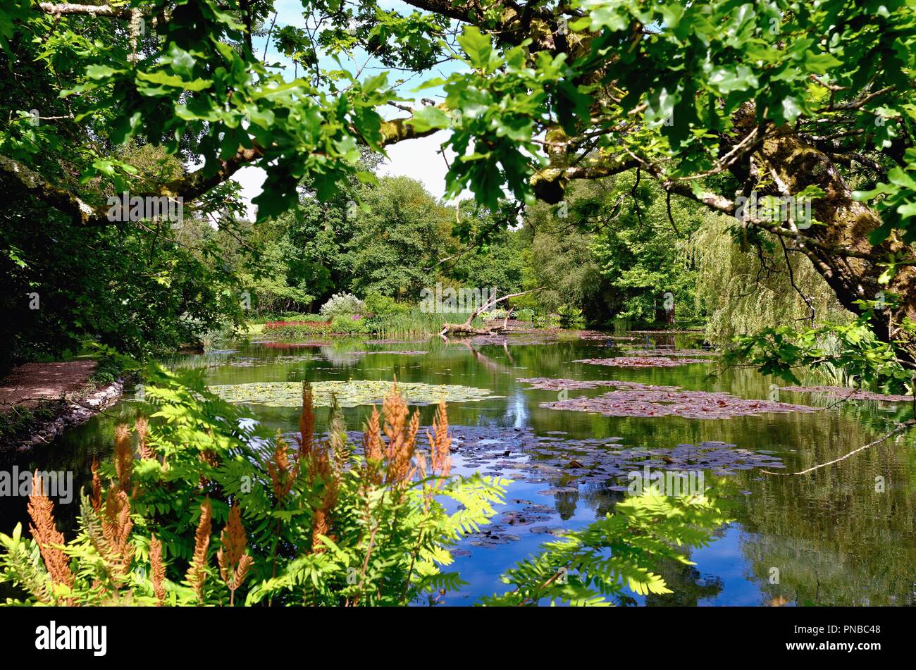 The Water Gardens at Longstock Leckford estate Stockbridge Hampshire ...
