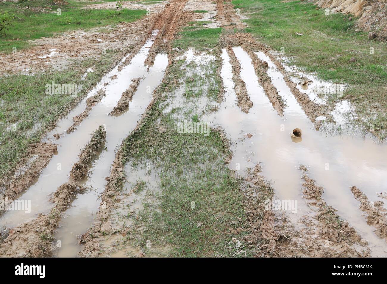 Wheel track on the mud soil which has water in floor Stock Photo - Alamy