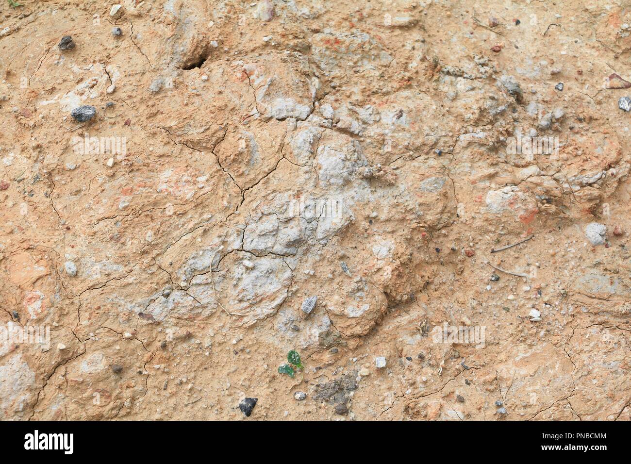 soil texture the cliff beautiful floor background with copy space for ...