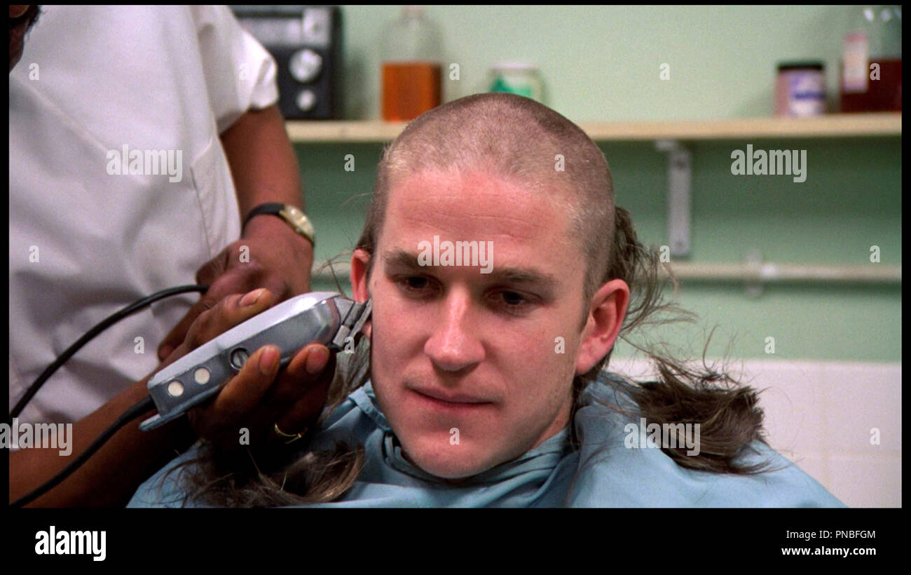 Hasford Stock Photos & Hasford Stock Images - Alamy