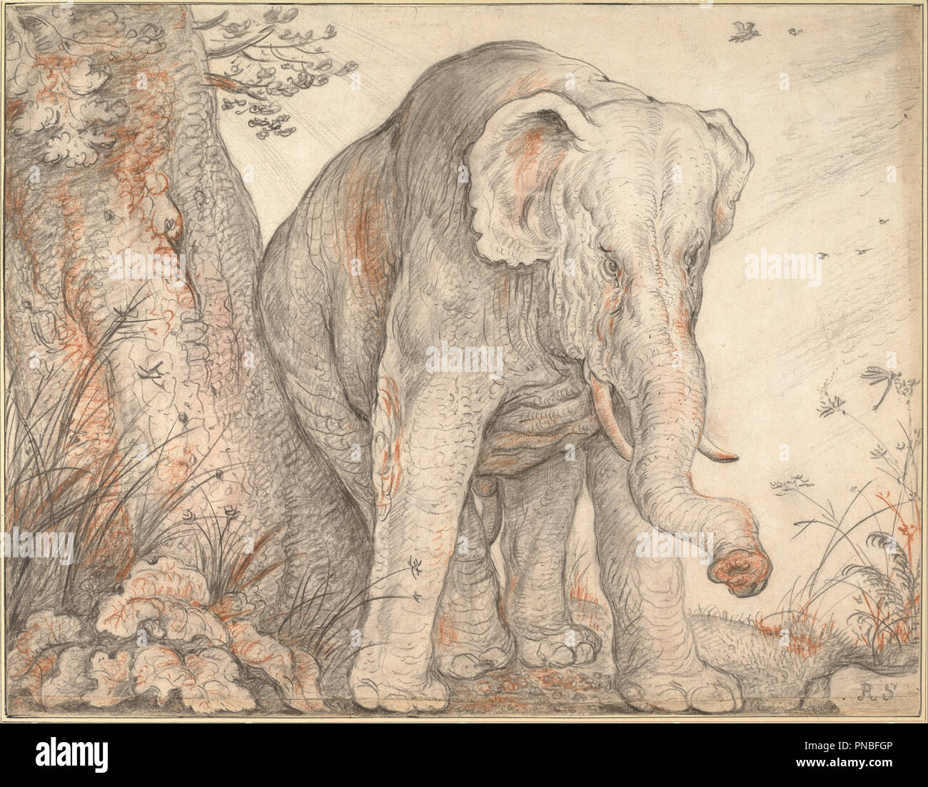 Tree of life drawings hi-res stock photography and images - Alamy