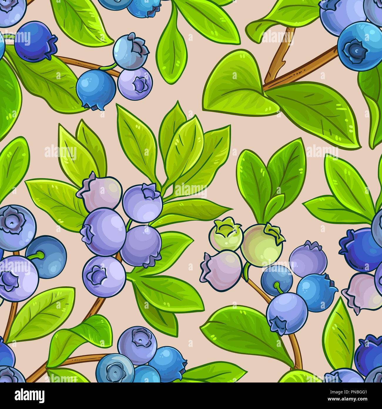 Tasty blueberry on color Stock Vector Images - Alamy