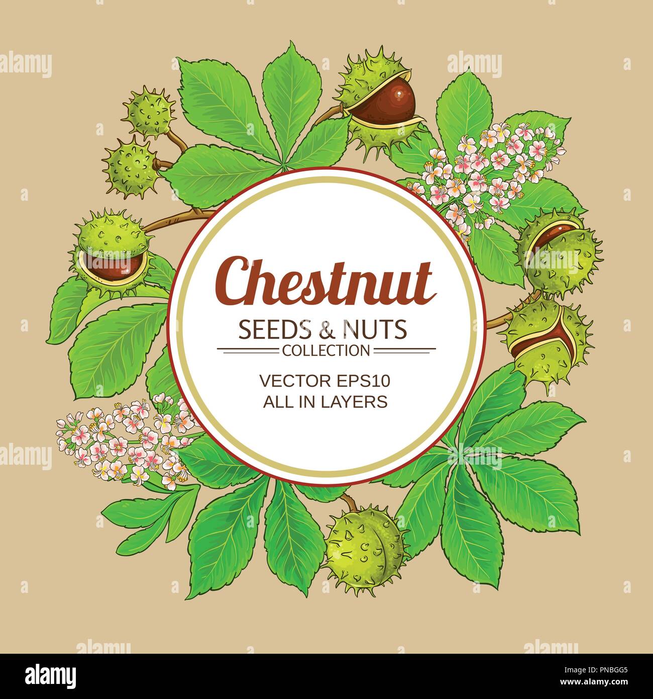 chestnut vector frame on color background Stock Vector Image & Art - Alamy