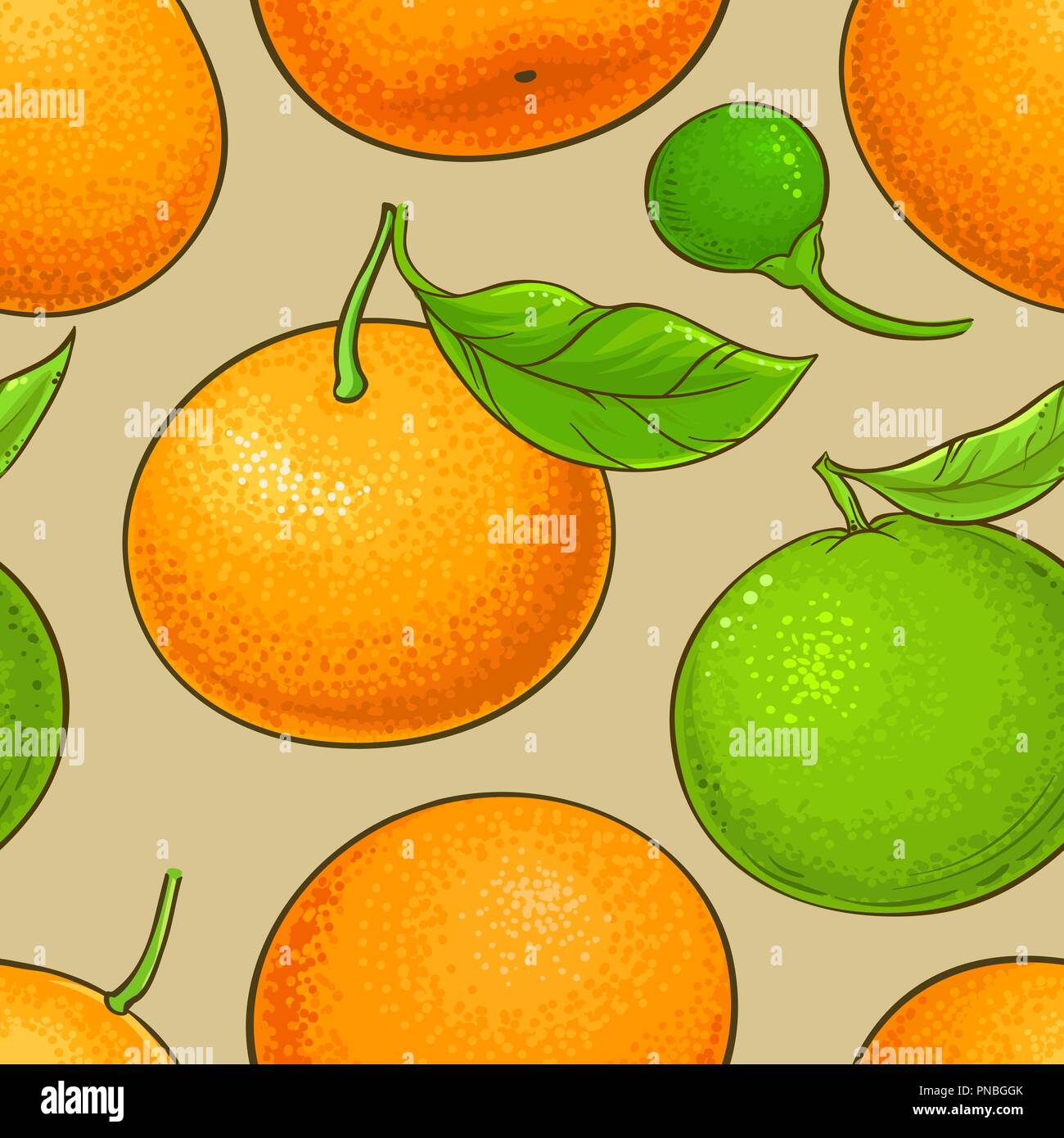 Mandarine vector vectors hi-res stock photography and images - Alamy