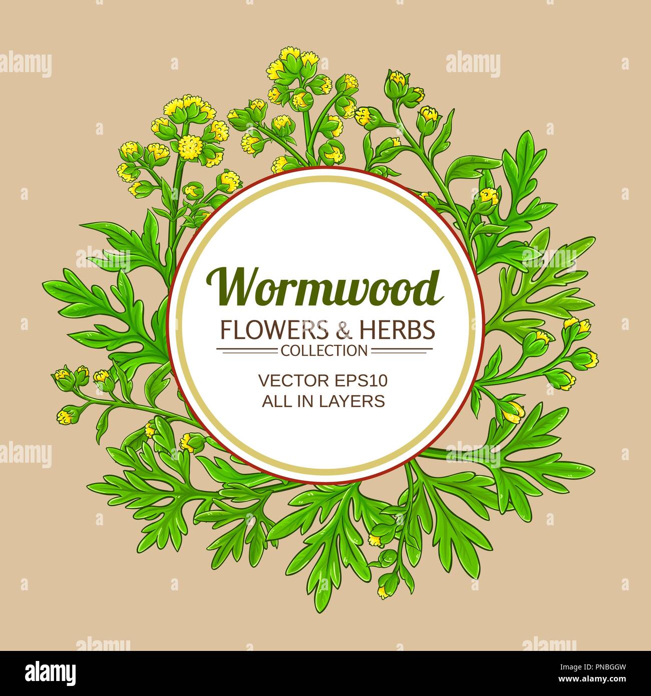 wormwood vector frame on color background Stock Vector Image & Art - Alamy