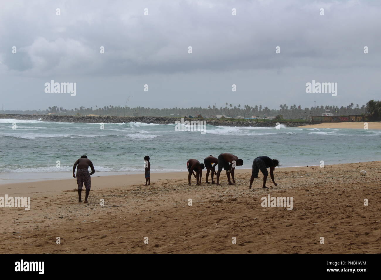 Collecting shells at the beach hi-res stock photography and images - Alamy
