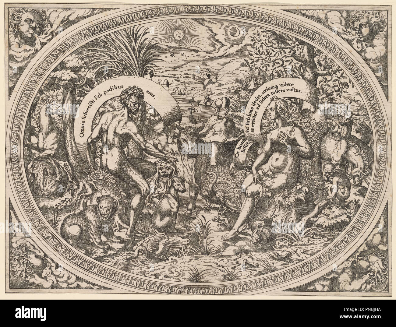 Octopus drawing illustration vector hi-res stock photography and images ...