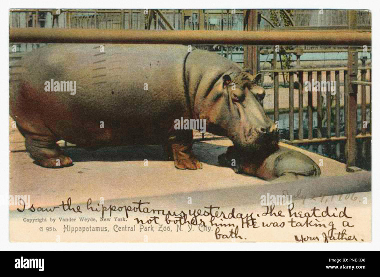 Elephant And Hippo High Resolution Stock Photography and Images - Alamy