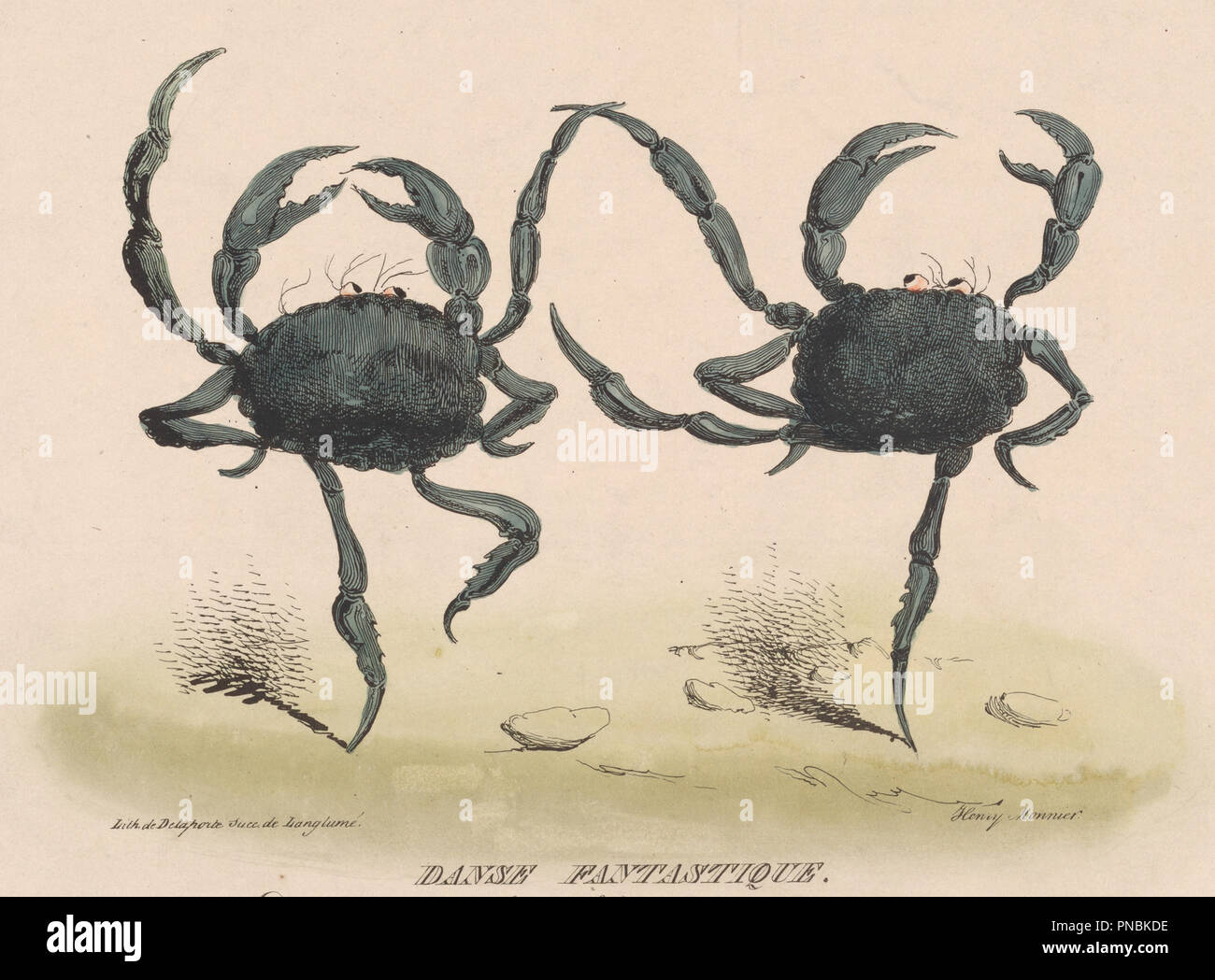 Dance Shrimp High Resolution Stock Photography and Images - Alamy