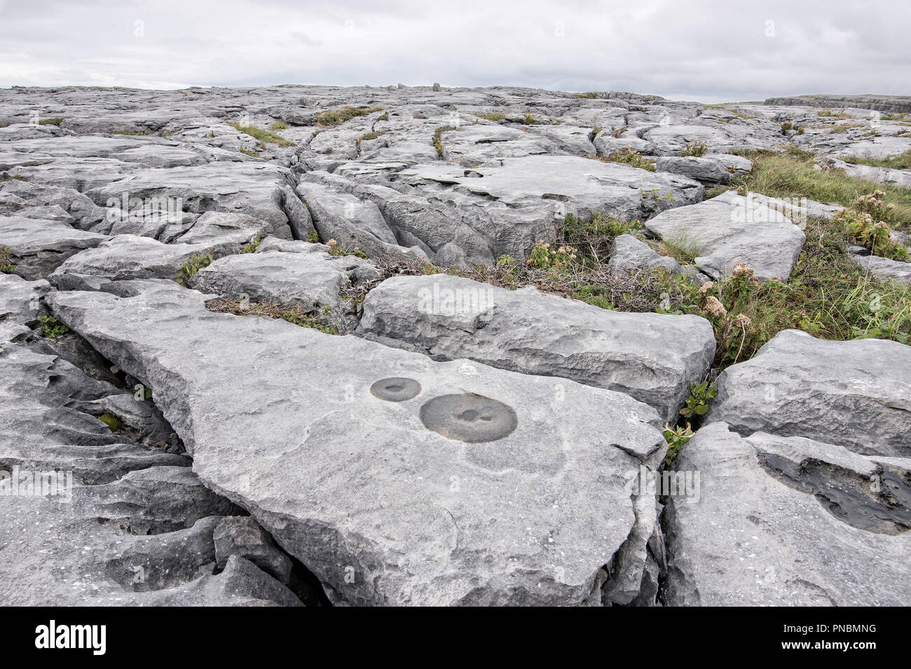 Burren national park walking hi-res stock photography and images - Alamy