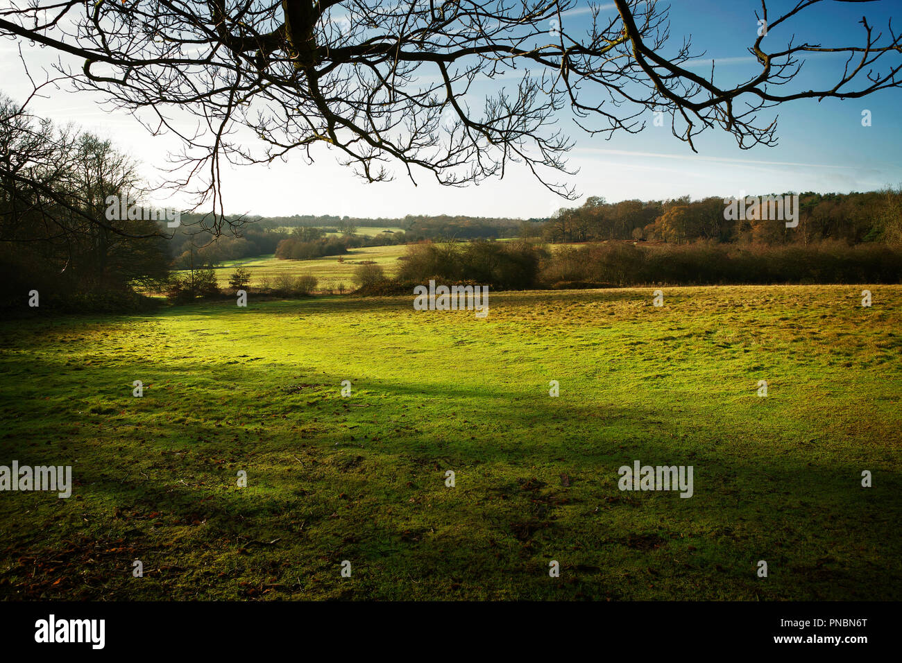 Trent park and london hi-res stock photography and images - Alamy
