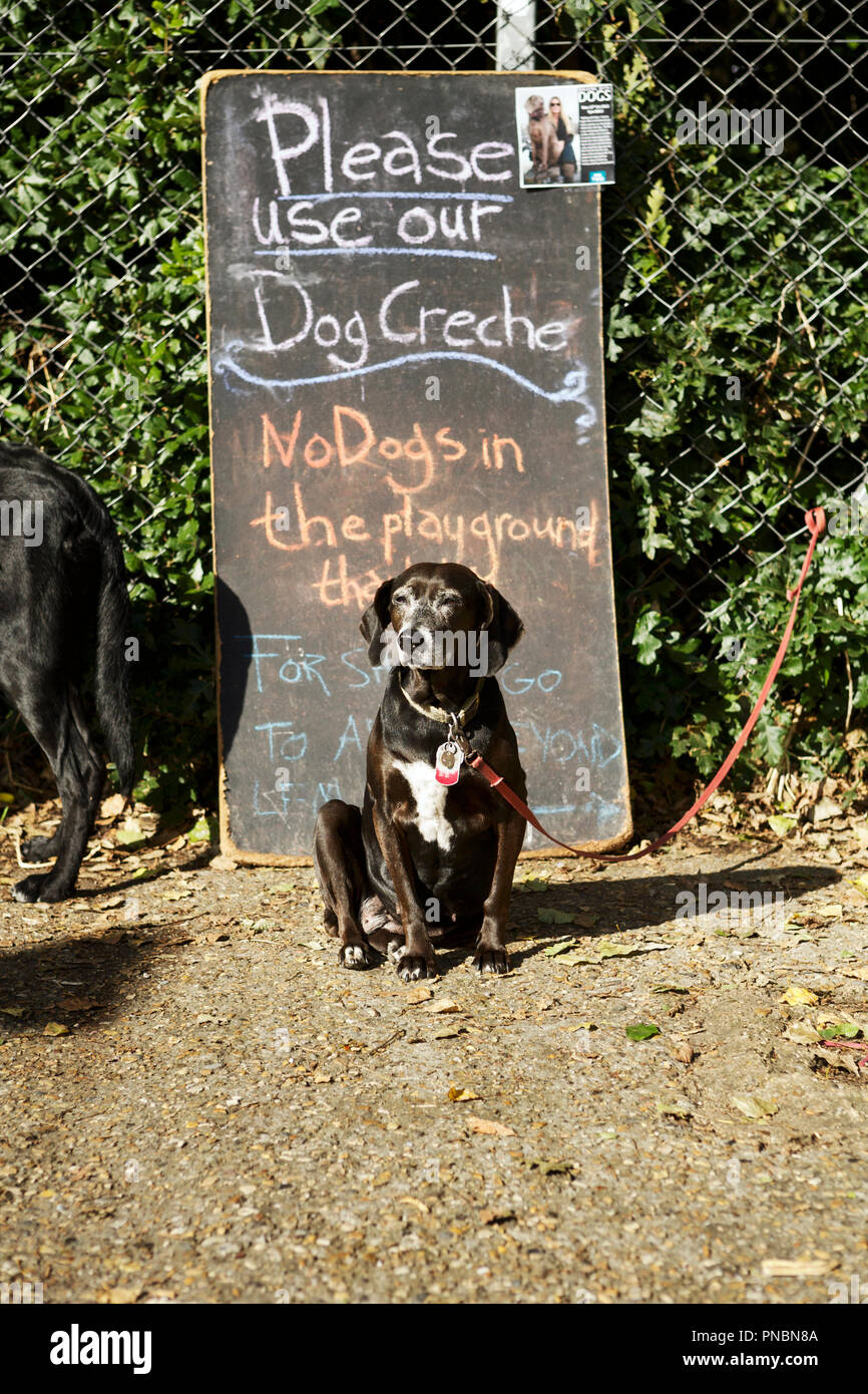 Creche High Resolution Stock Photography and Images - Alamy