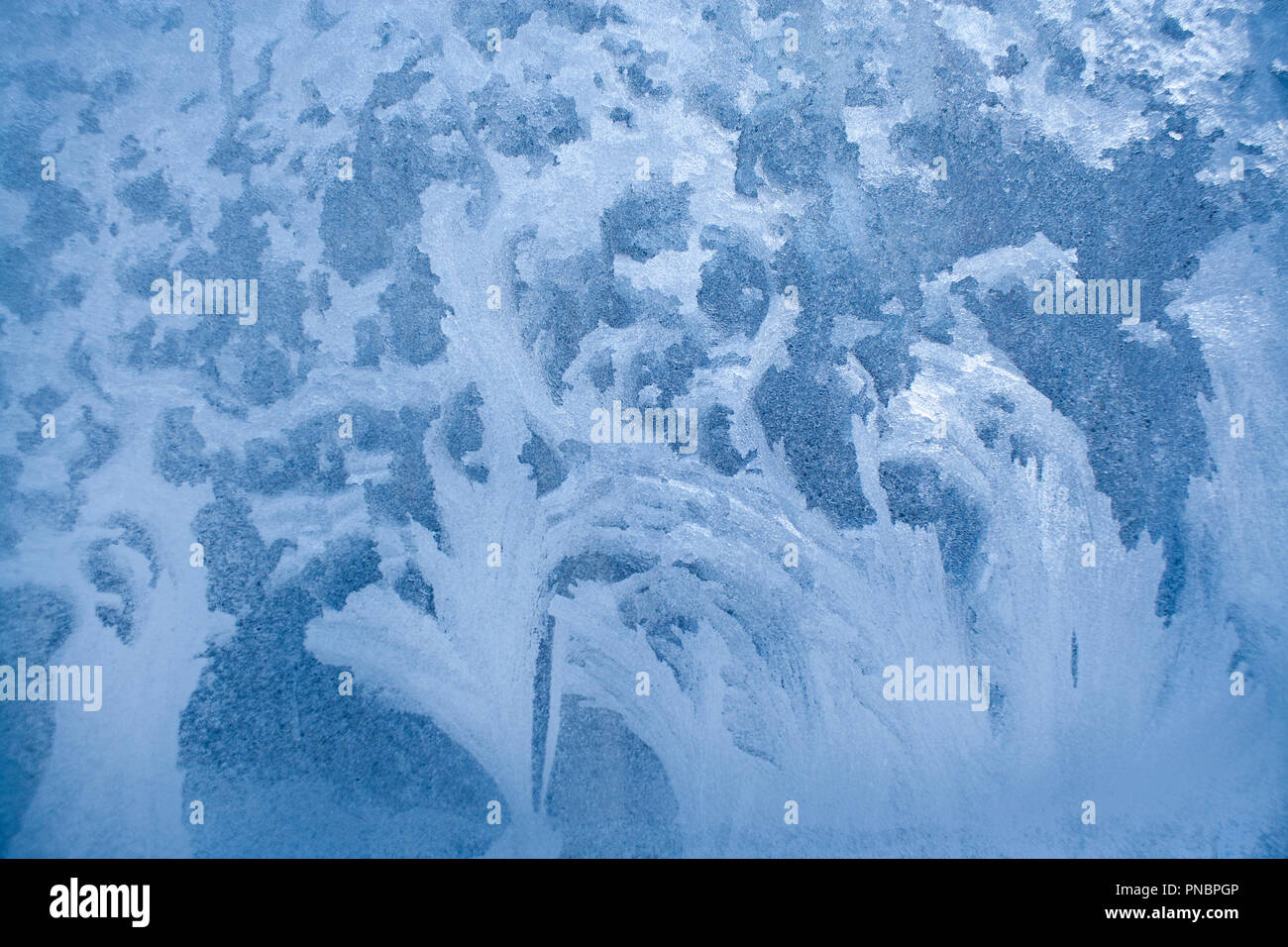 Frozen winter window pane with beautiful florid pattern Stock Photo - Alamy