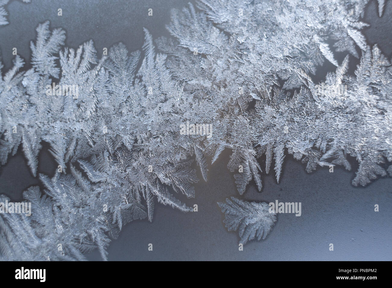 Openwork frosty white icy pattern on winter glass pane Stock Photo - Alamy