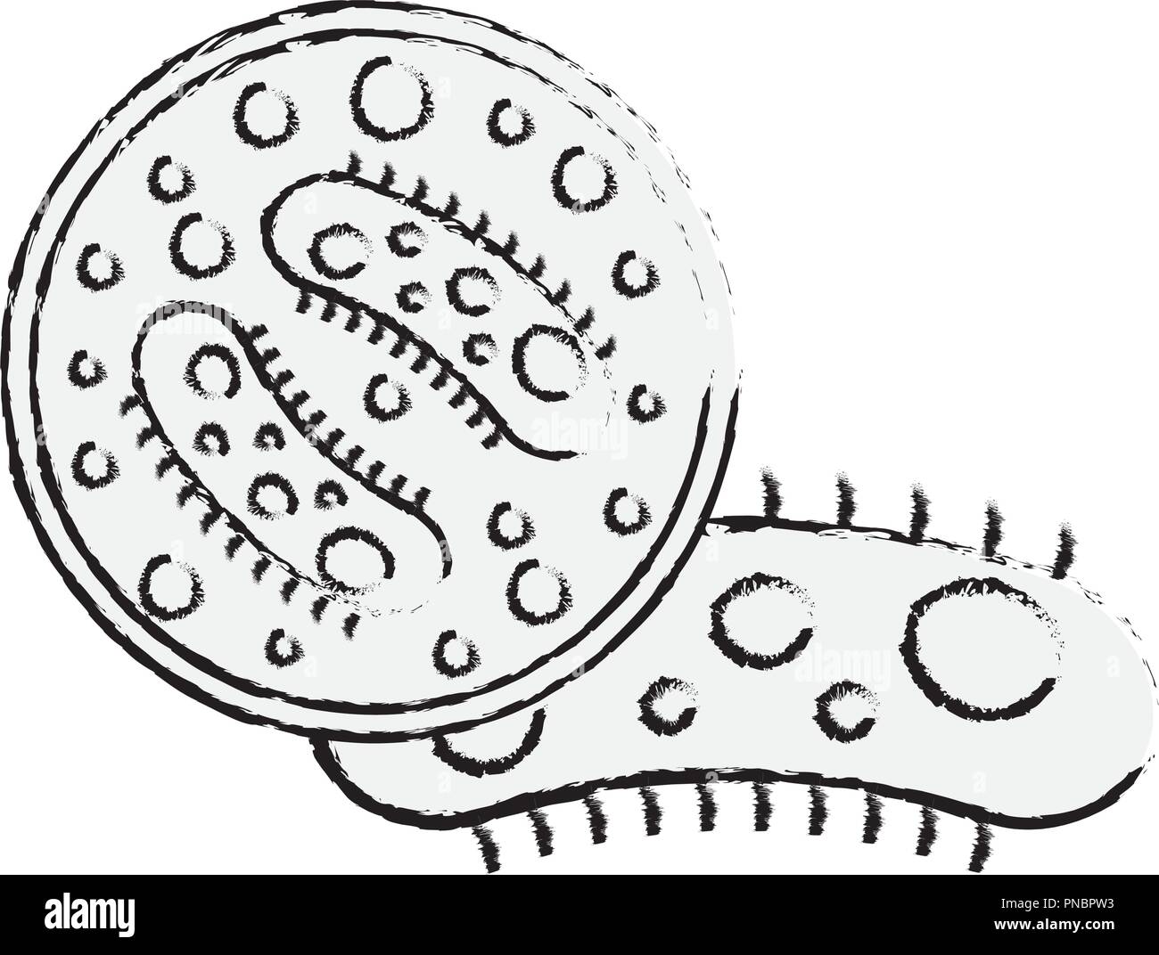 virology germ bacteria petri dish science Stock Vector Image & Art - Alamy