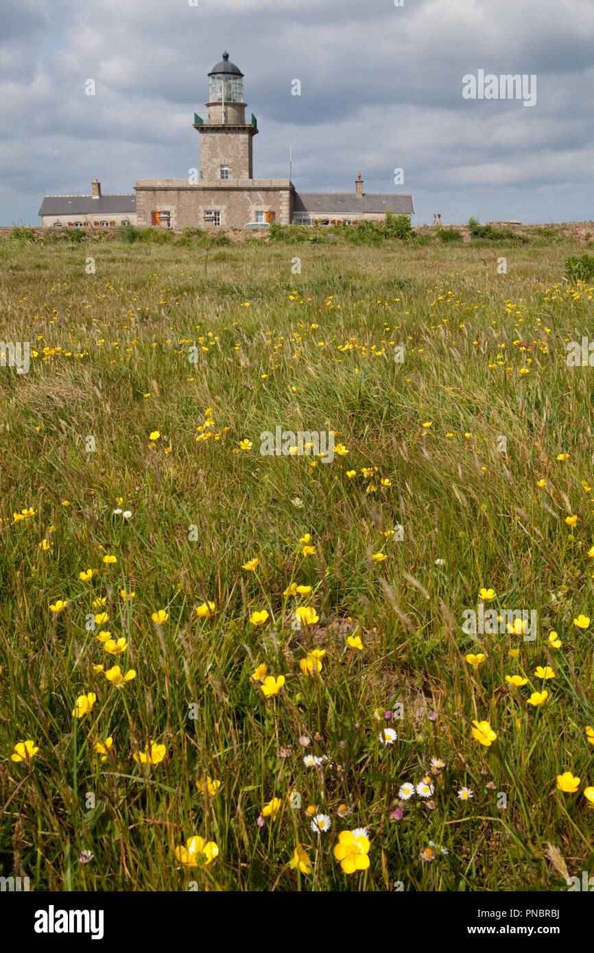 Lighthouse normandy france hi-res stock photography and images - Alamy
