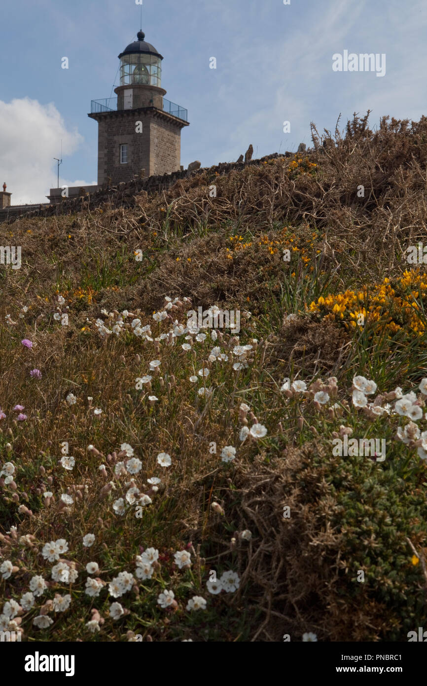 Lighthouse normandy france hi-res stock photography and images - Alamy