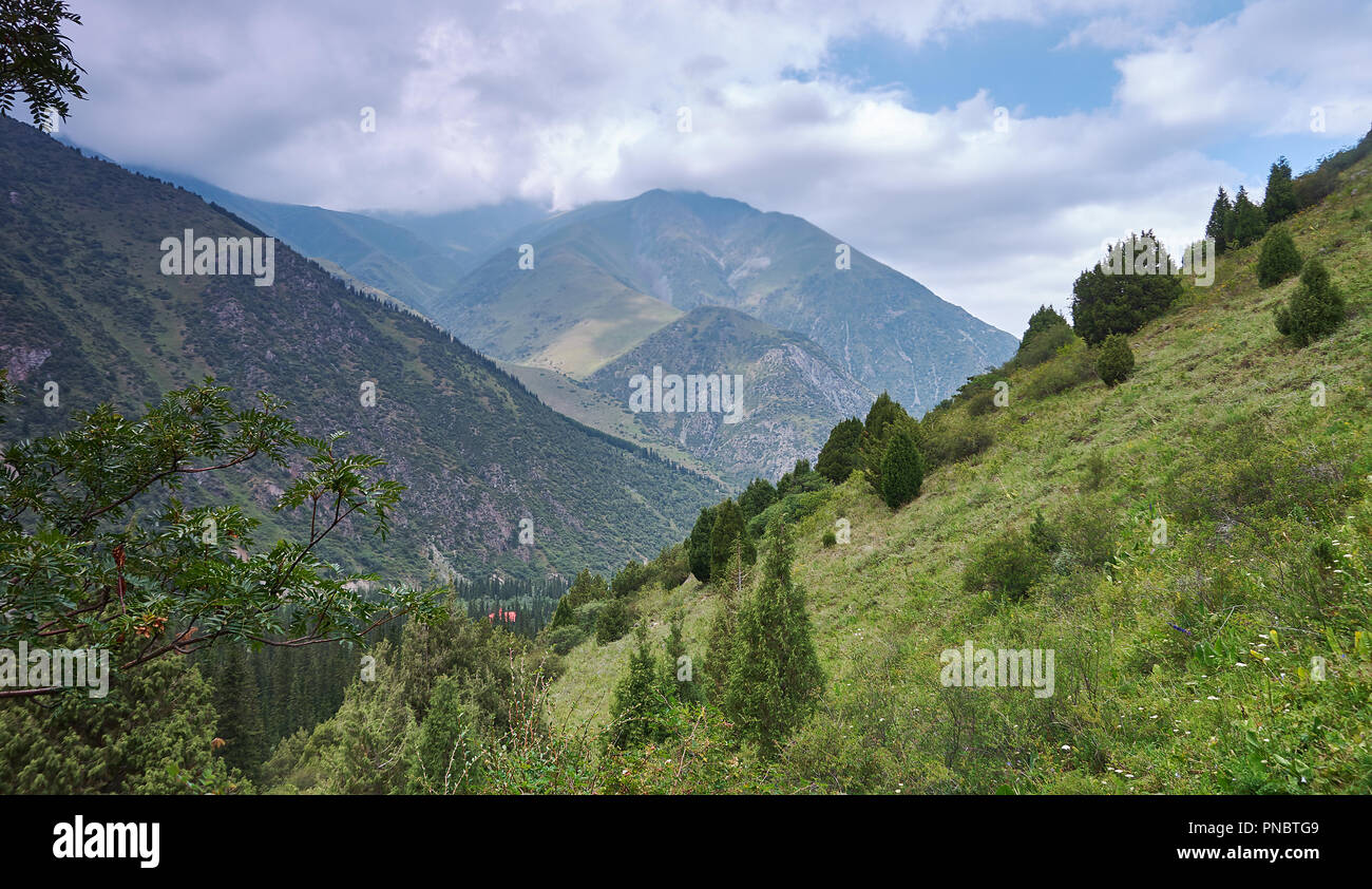 beautiful summer mountains , Ala-archa national park in Bishkek ...