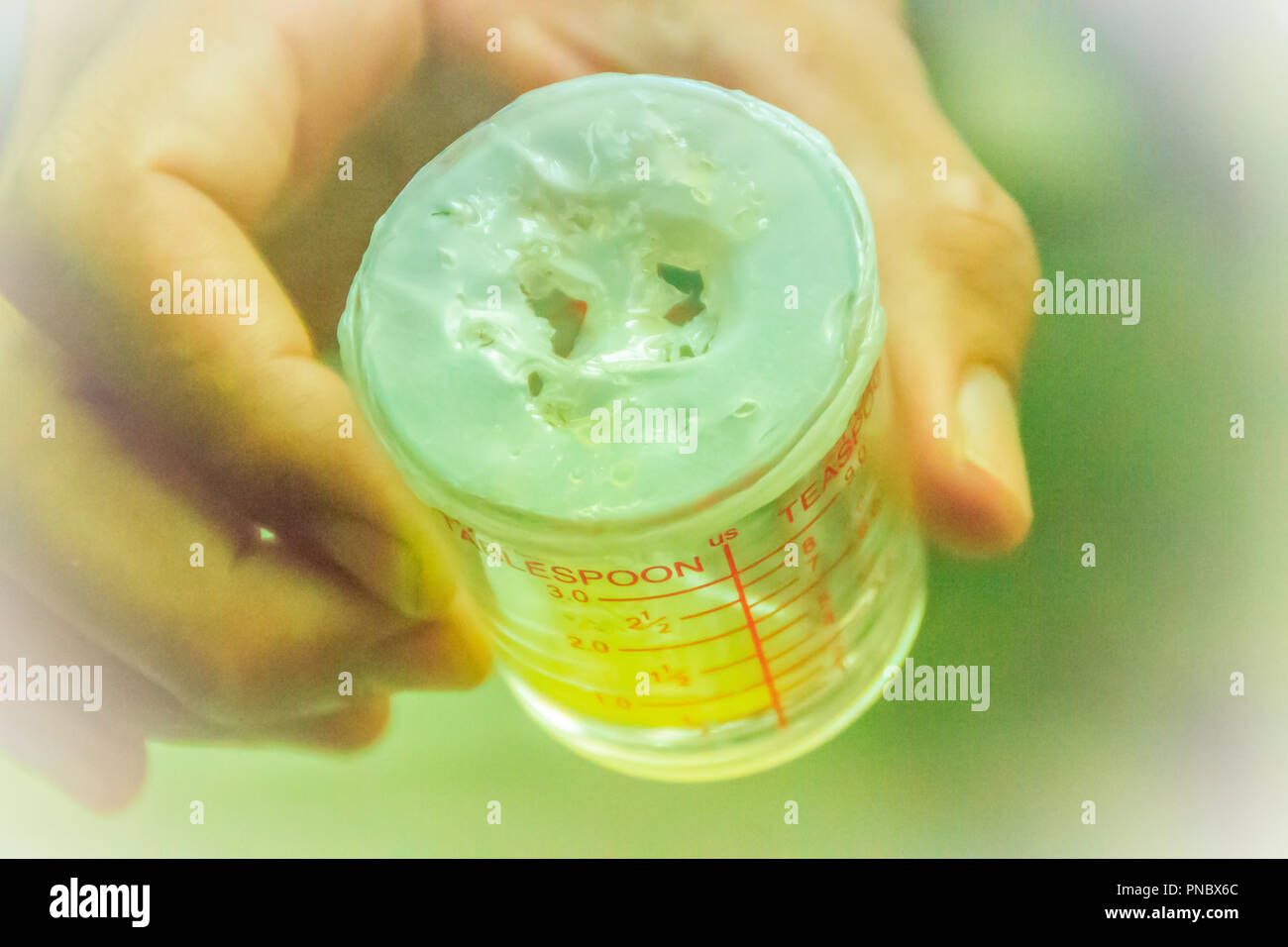 Extraction of poison viper hi-res stock photography and images - Alamy