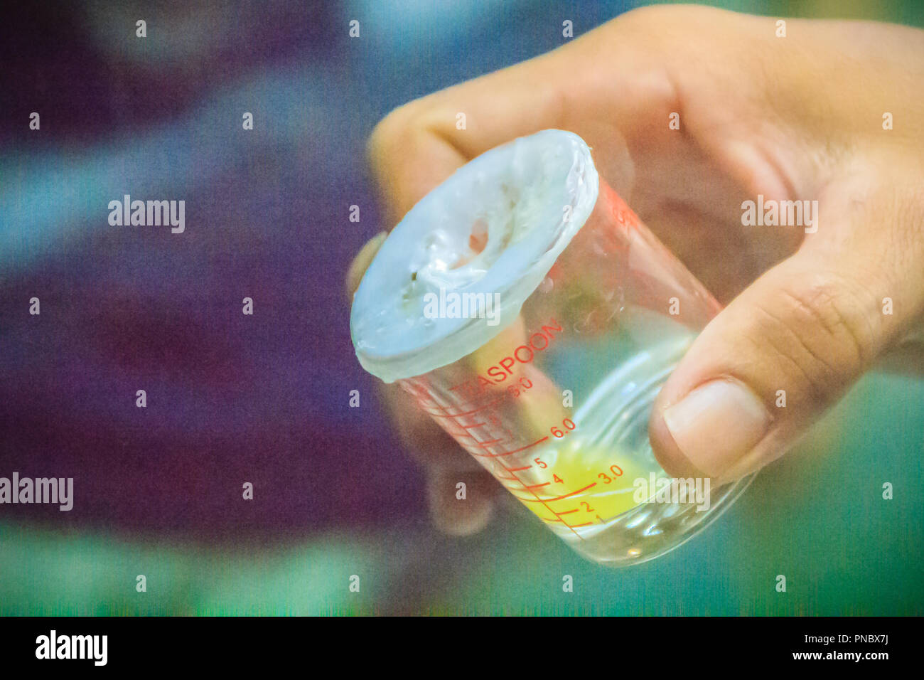 A beaker collects the milked green pit viper venom for produce snake ...