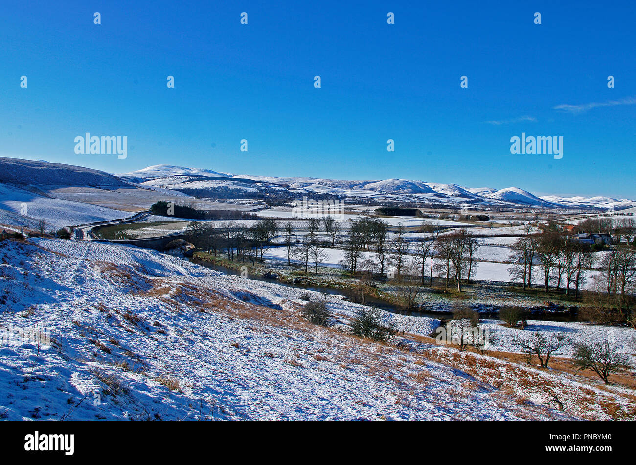 Cheviots hi-res stock photography and images - Alamy