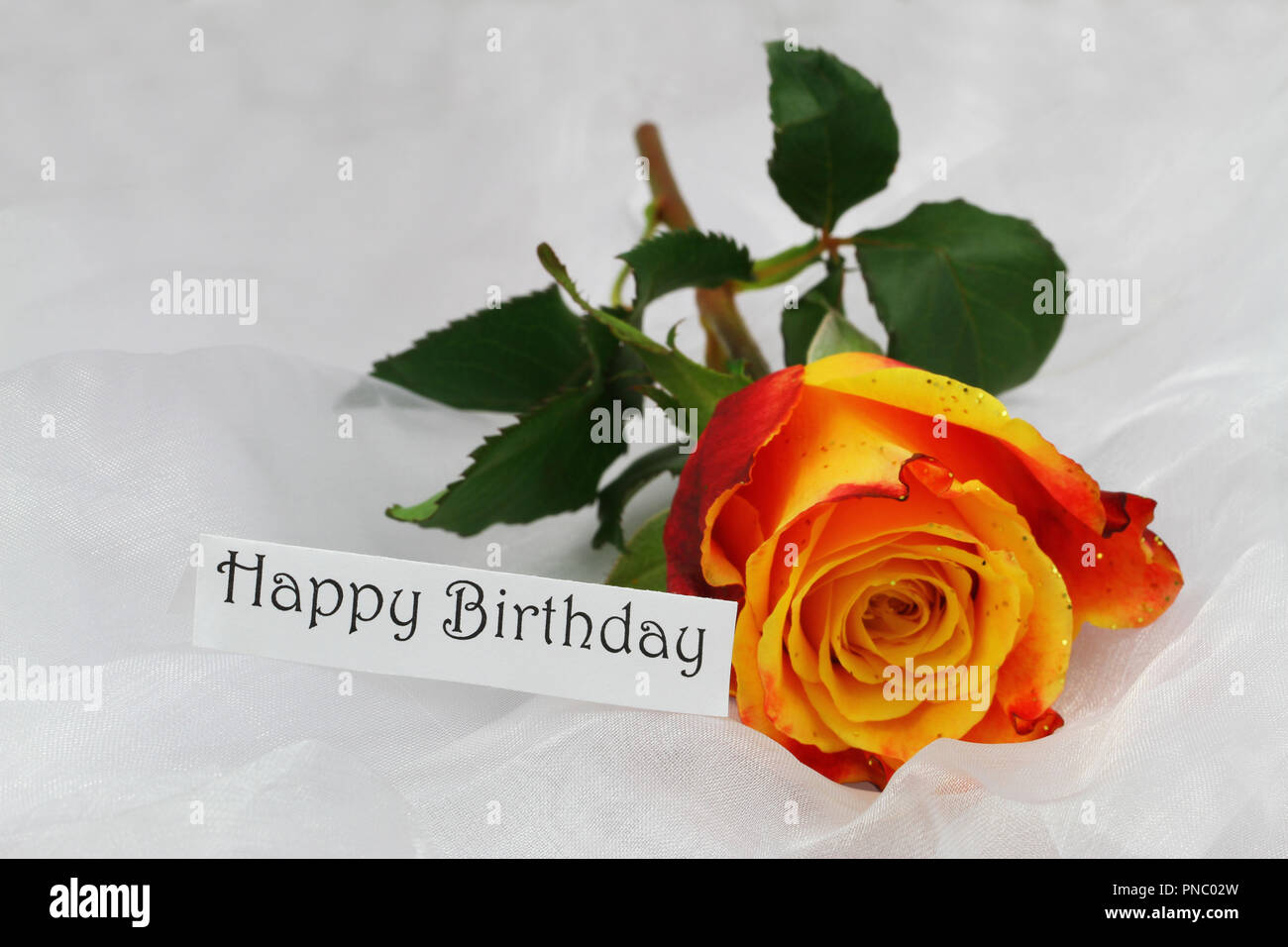 Happy birthday card with one orange rose covered with glitter on white ...