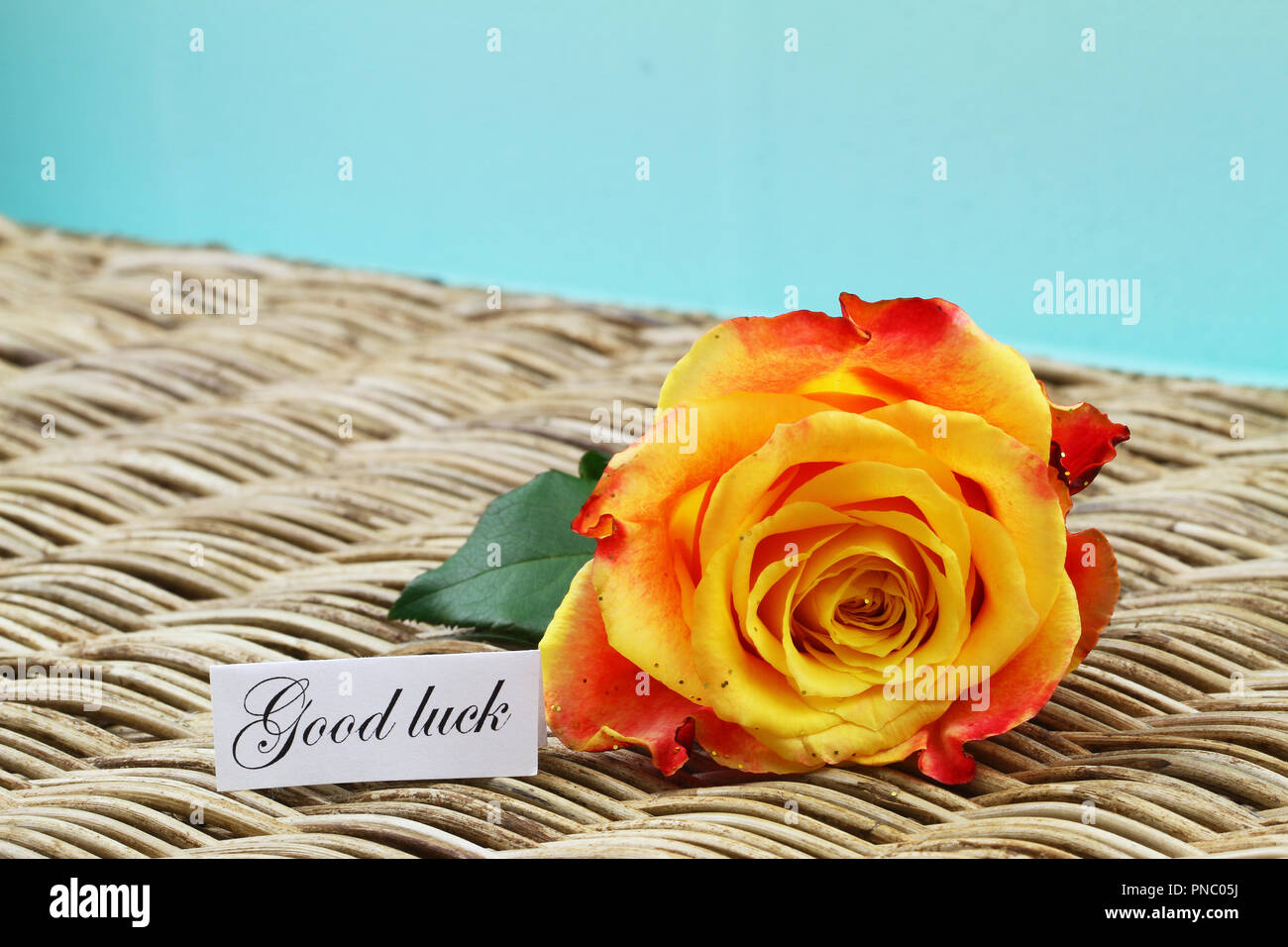 Good luck card with rose hi-res stock photography and images - Alamy